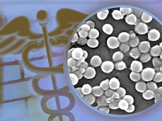 Worst Fears Realized: Drug Resistant Superbug Finally Here | CBN News