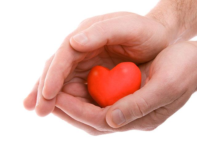 In Safe Hands | CBN.com